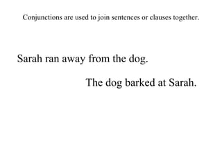 Conjunctions | PPT | Dogs | Pets