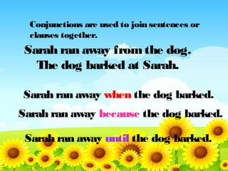 Conjunctions (1) | PPT