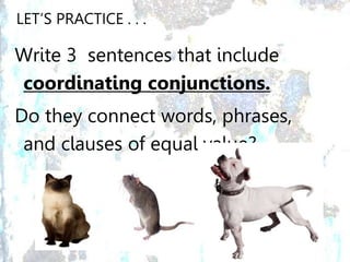 Conjunctions power point for grade 6.ppt