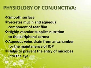 Conjunctiva | PPTX