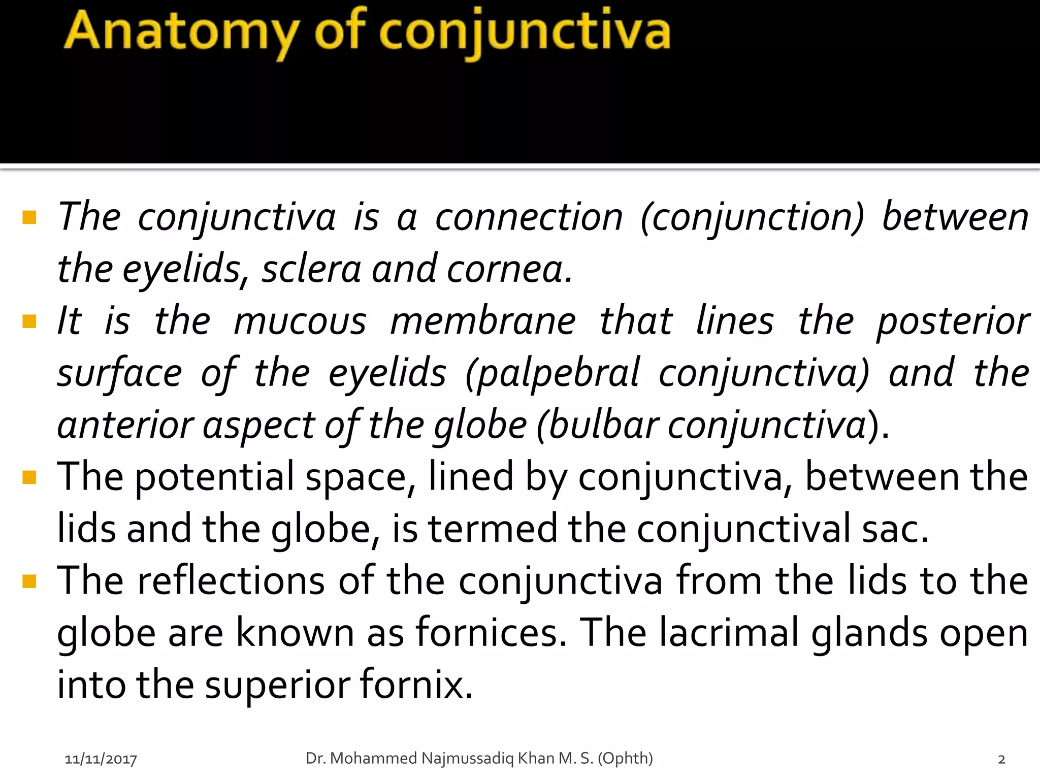 Conjunctiva | PPT