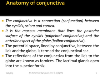 Conjunctiva | PPTX