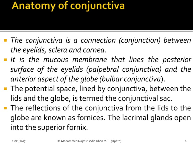 Conjunctiva | PPT