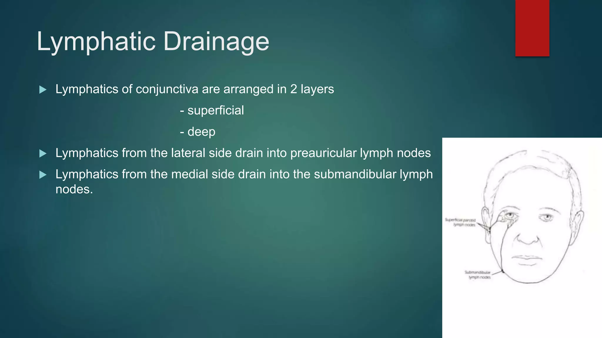 Conjunctiva and its Disorders | PPTX