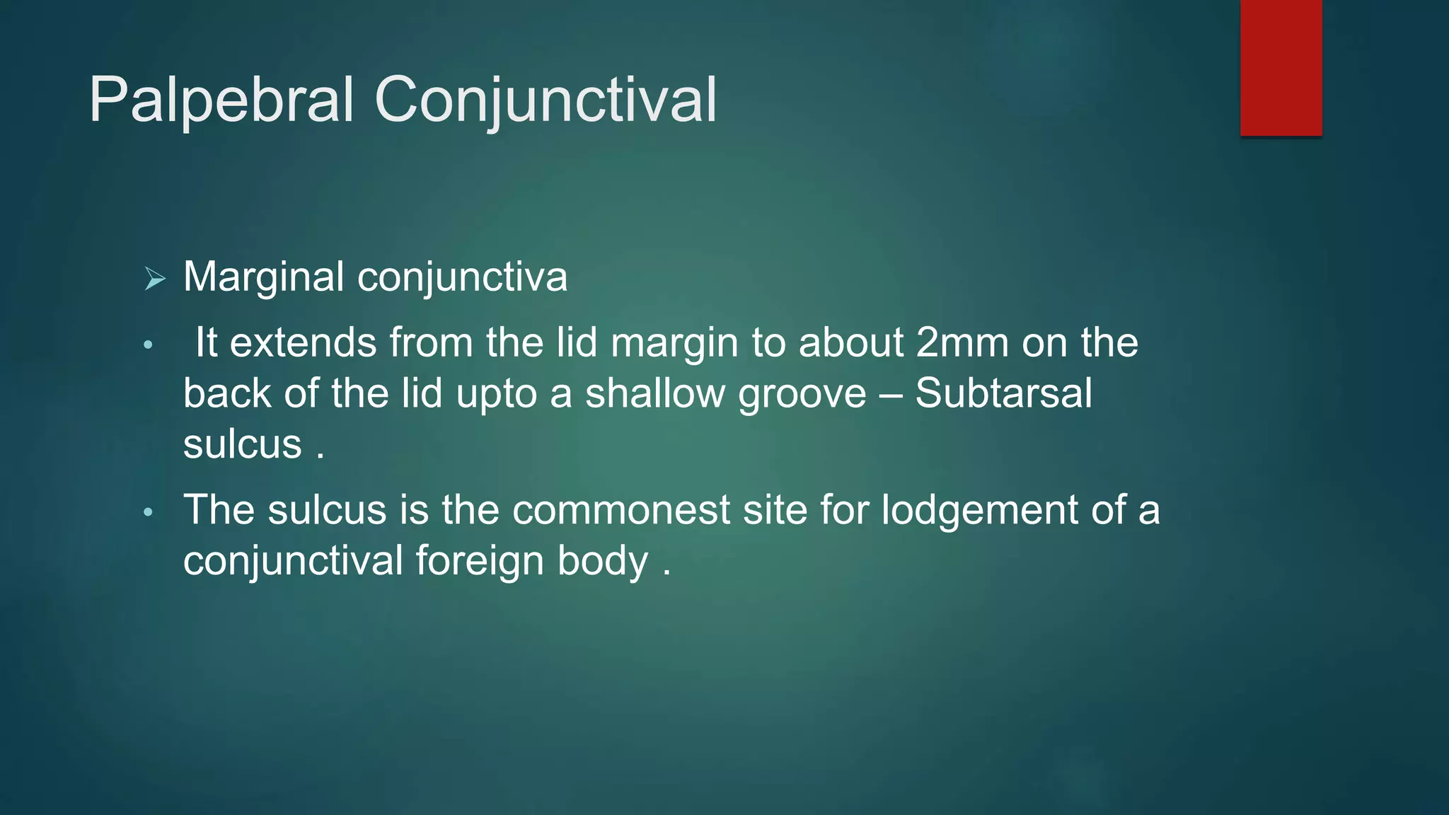 Conjunctiva and its Disorders | PPTX
