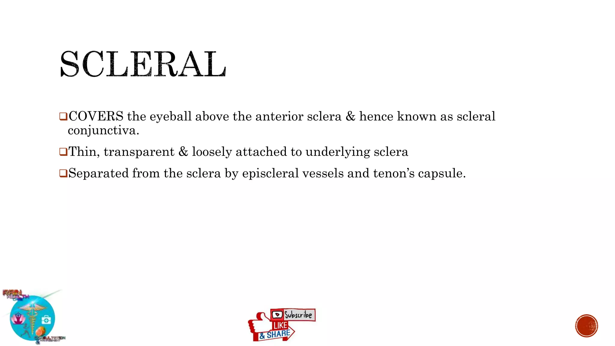 ANATOMY & HISTOLOGY OF CONJUNCTIVA | PPTX