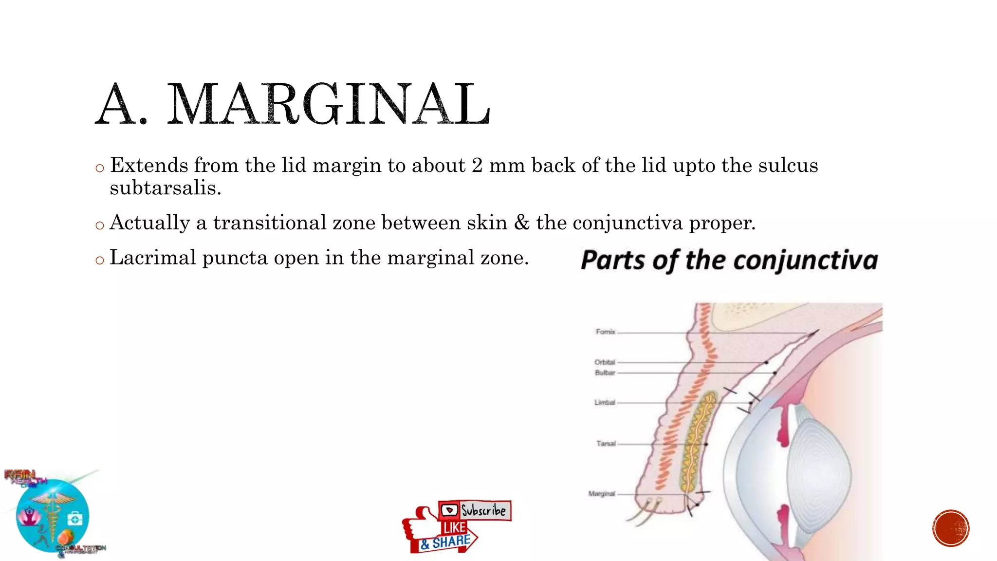 ANATOMY & HISTOLOGY OF CONJUNCTIVA | PPTX