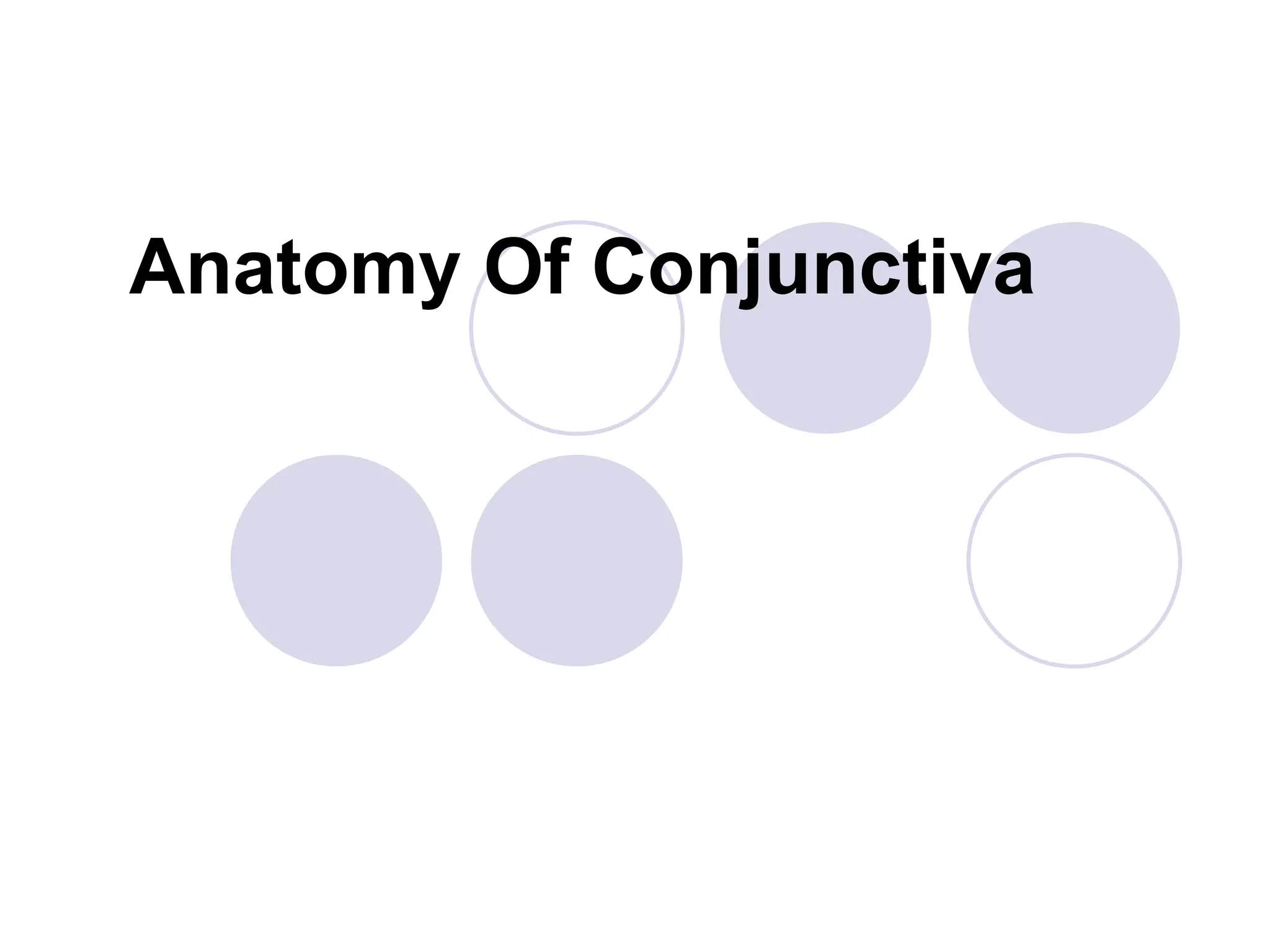 Anatomy of Conjunctiva- bulbar ,palpebral and forniceal | PPT