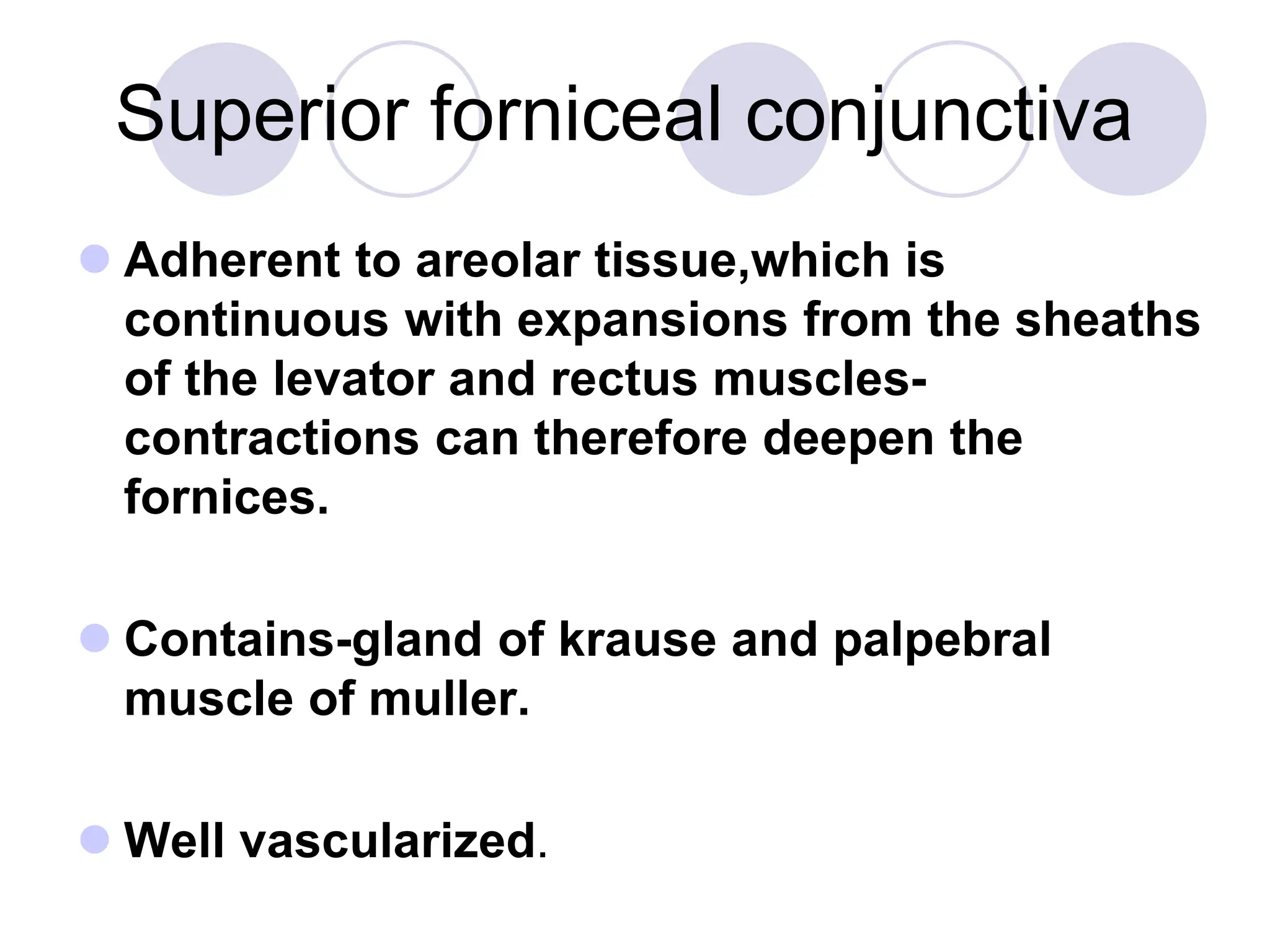 Anatomy of Conjunctiva- bulbar ,palpebral and forniceal | PPT
