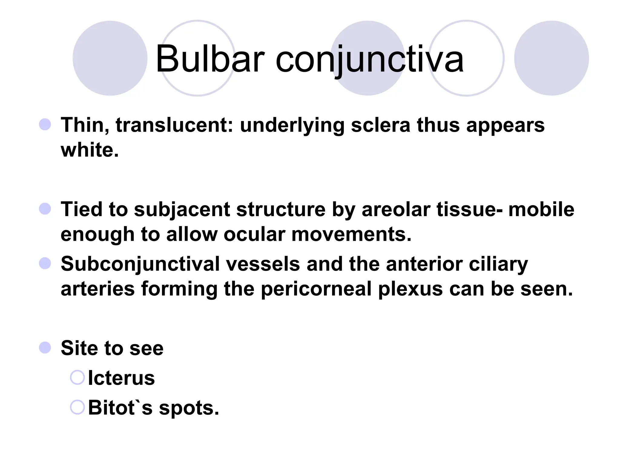 Anatomy of Conjunctiva- bulbar ,palpebral and forniceal | PPT