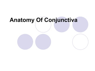Anatomy of Conjunctiva- bulbar ,palpebral and forniceal | PPT