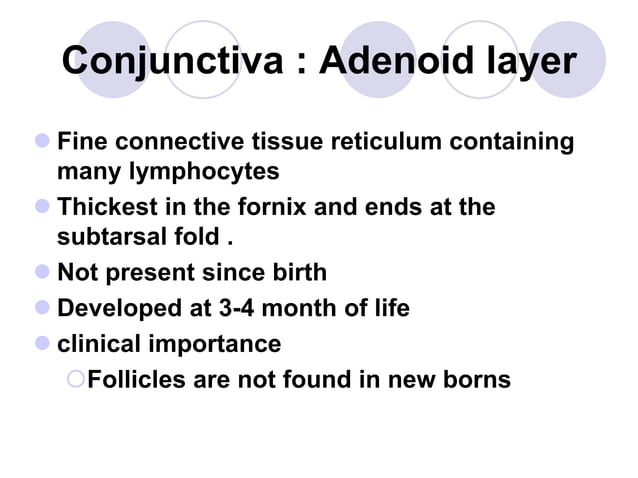 Anatomy of Conjunctiva- bulbar ,palpebral and forniceal | PPT | Eye and ...
