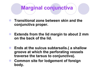 Anatomy of Conjunctiva- bulbar ,palpebral and forniceal | PPT