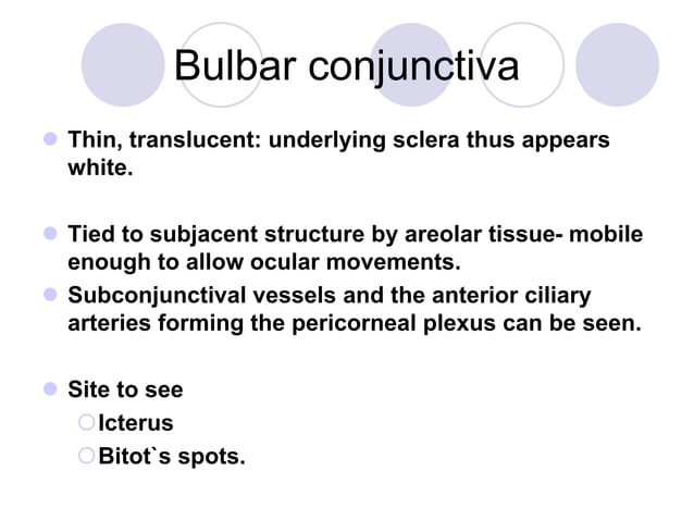 Anatomy of Conjunctiva- bulbar ,palpebral and forniceal | PPT | Eye and ...