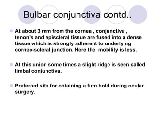 Anatomy of Conjunctiva- bulbar ,palpebral and forniceal | PPT