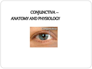 conjunctiva of human eye anatomy and physio.pptx