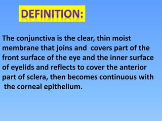 Conjunctiva | PPT