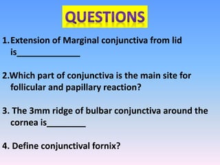 Conjunctiva | PPTX