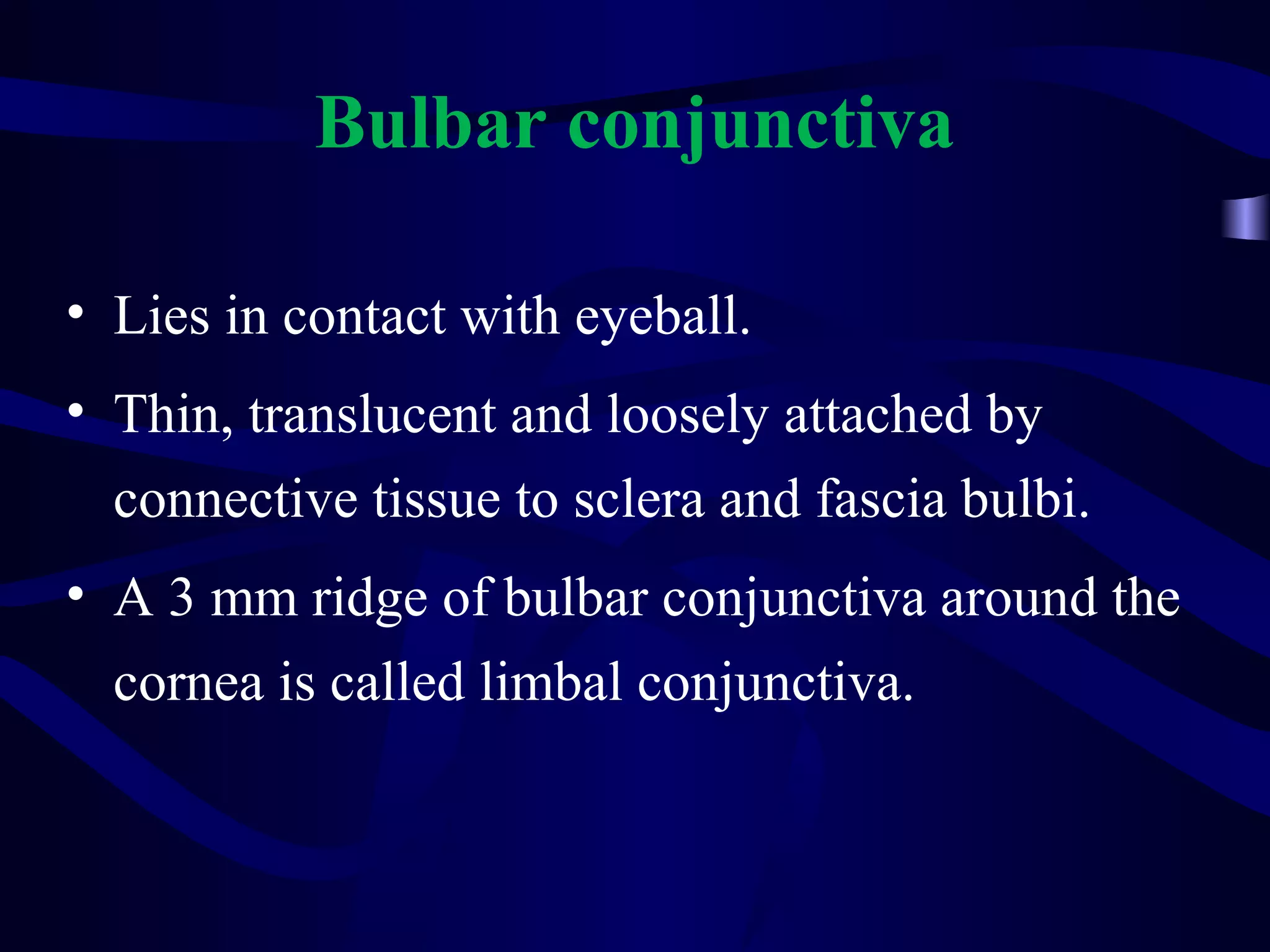 Conjunctiva anatomy and physiology | PDF