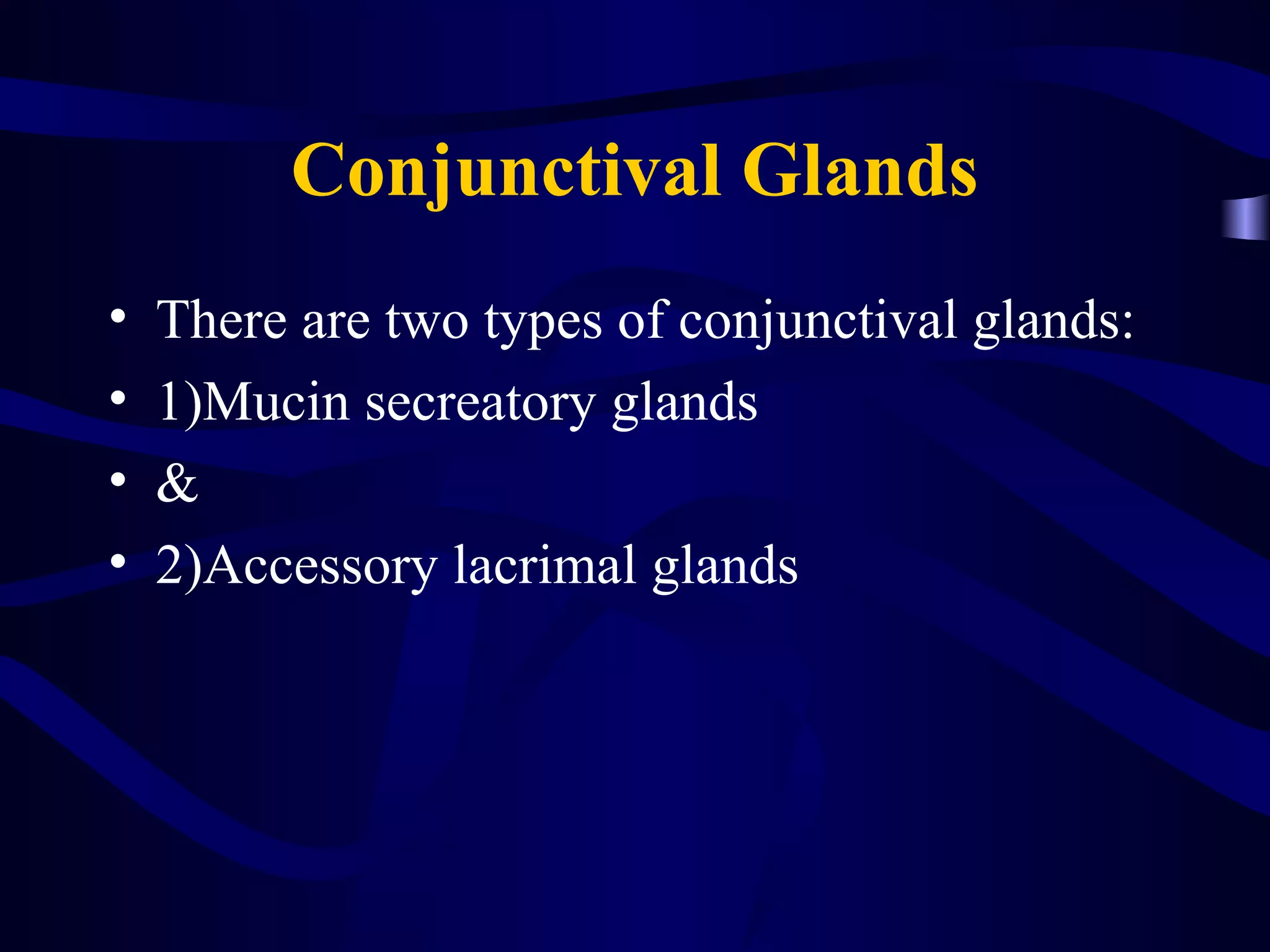 Conjunctiva anatomy and physiology | PDF