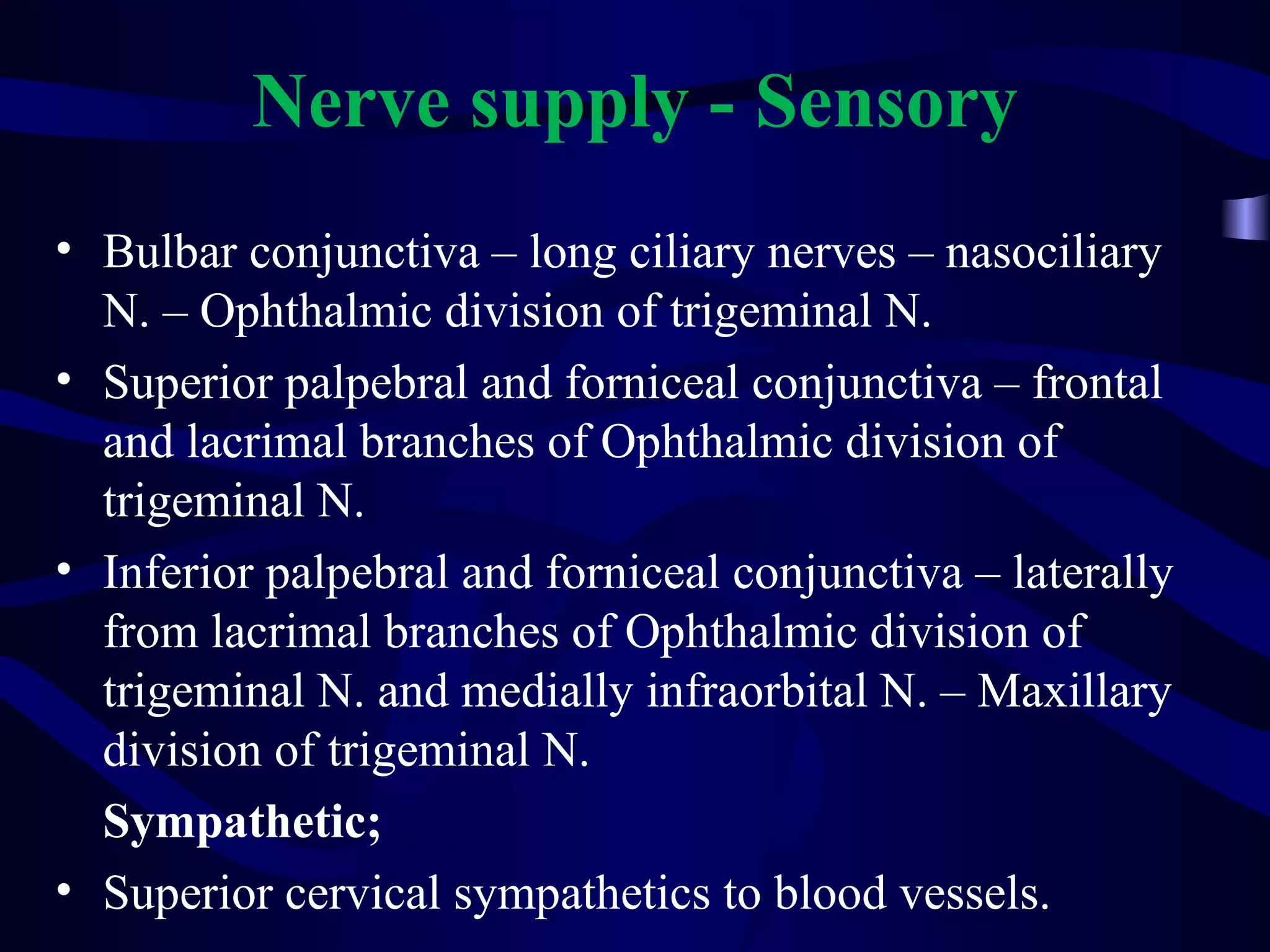 Conjunctiva anatomy and physiology | PDF