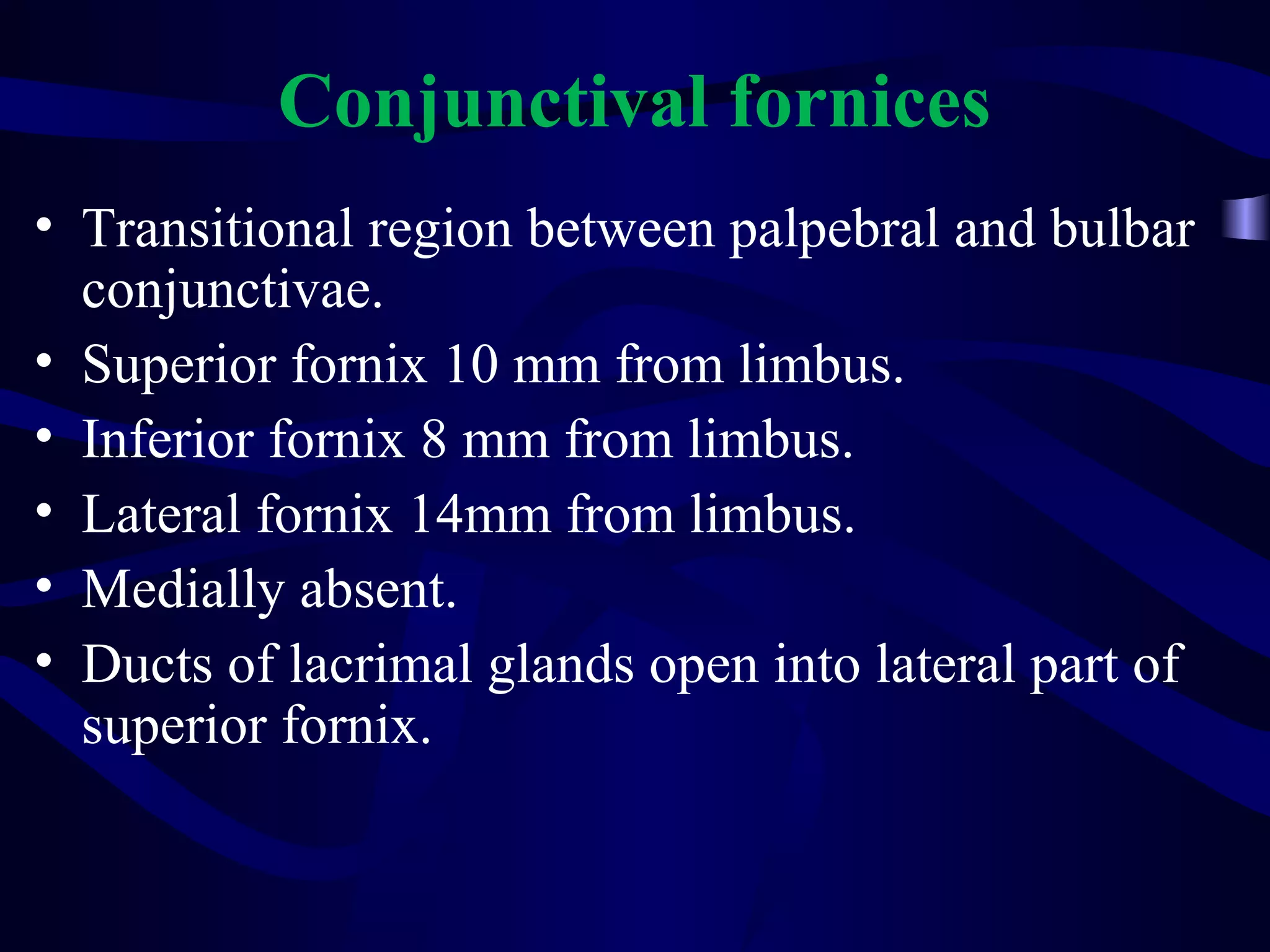 Conjunctiva anatomy and physiology | PDF