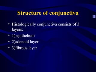 Conjunctiva anatomy and physiology | PPT