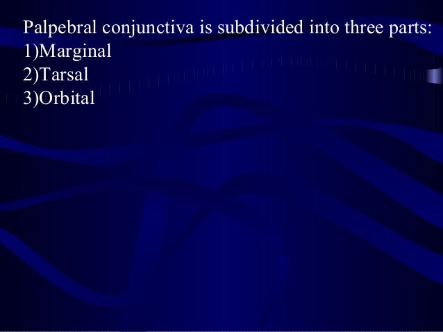 Conjunctiva anatomy and physiology