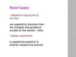 Conjunctiva anatomy and physiology eye.pptx