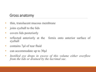 Conjunctiva and sclera | PPTX