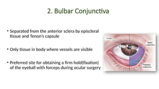 Conjunctiva, Episclera and Sclera by Aakriti Joshi.pptx