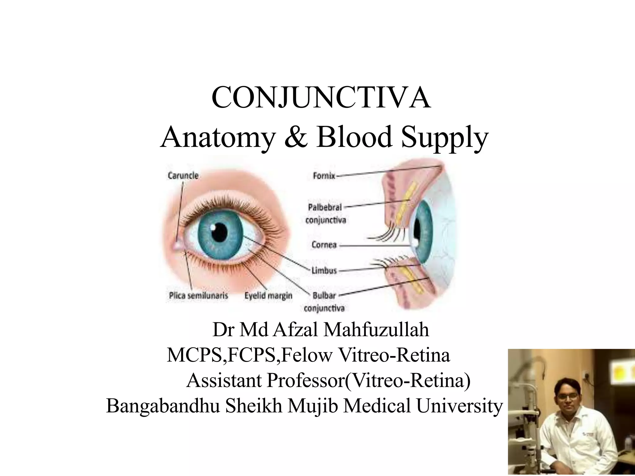 Conjunctival anatomy | PPTX