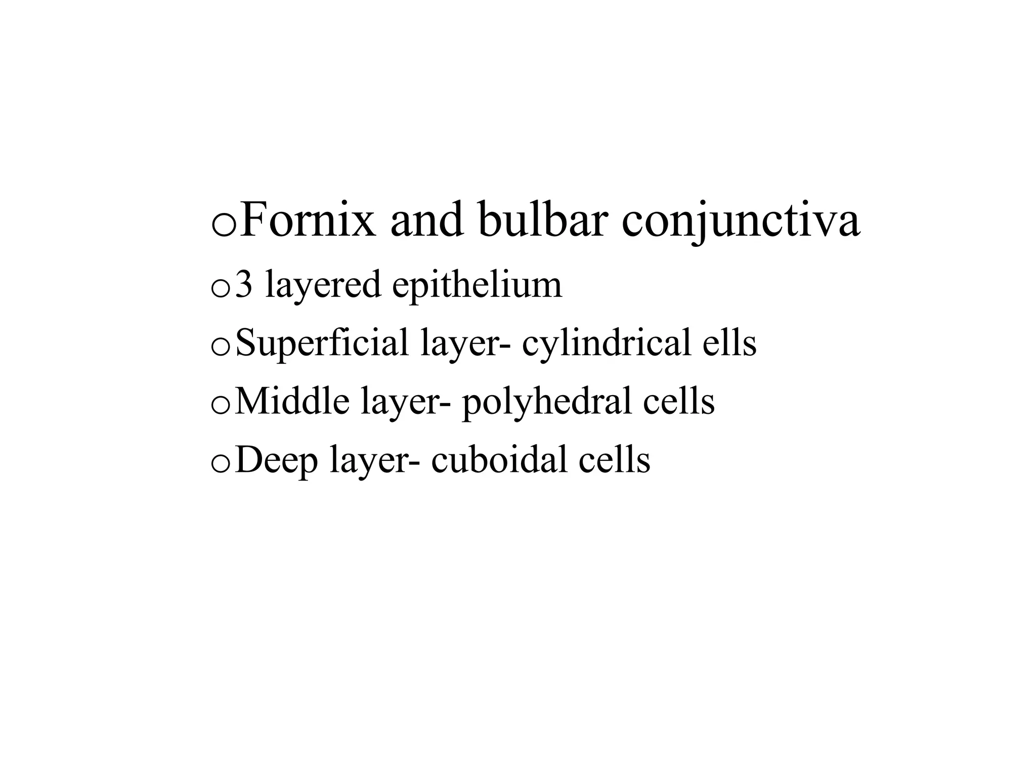 Conjunctival anatomy & and blood supply | PPTX