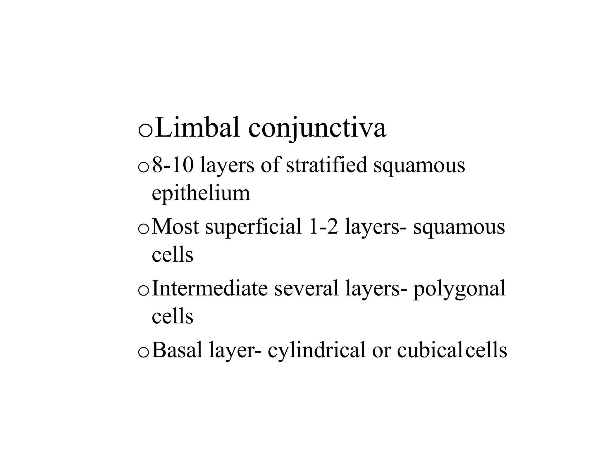Conjunctival anatomy & and blood supply | PPTX
