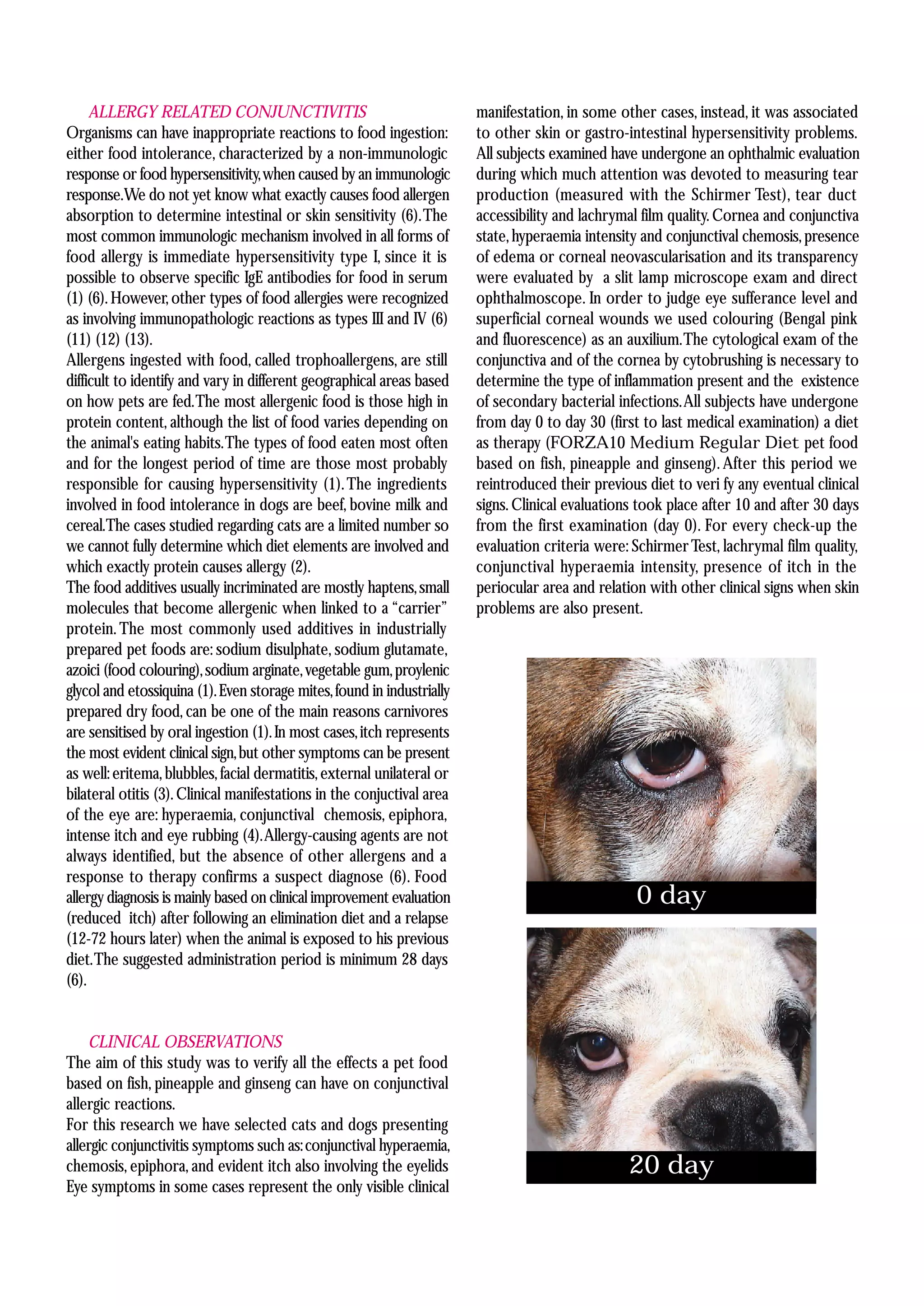 dog's and cat's conjuntivitis, blepharitis, periocular itch ...