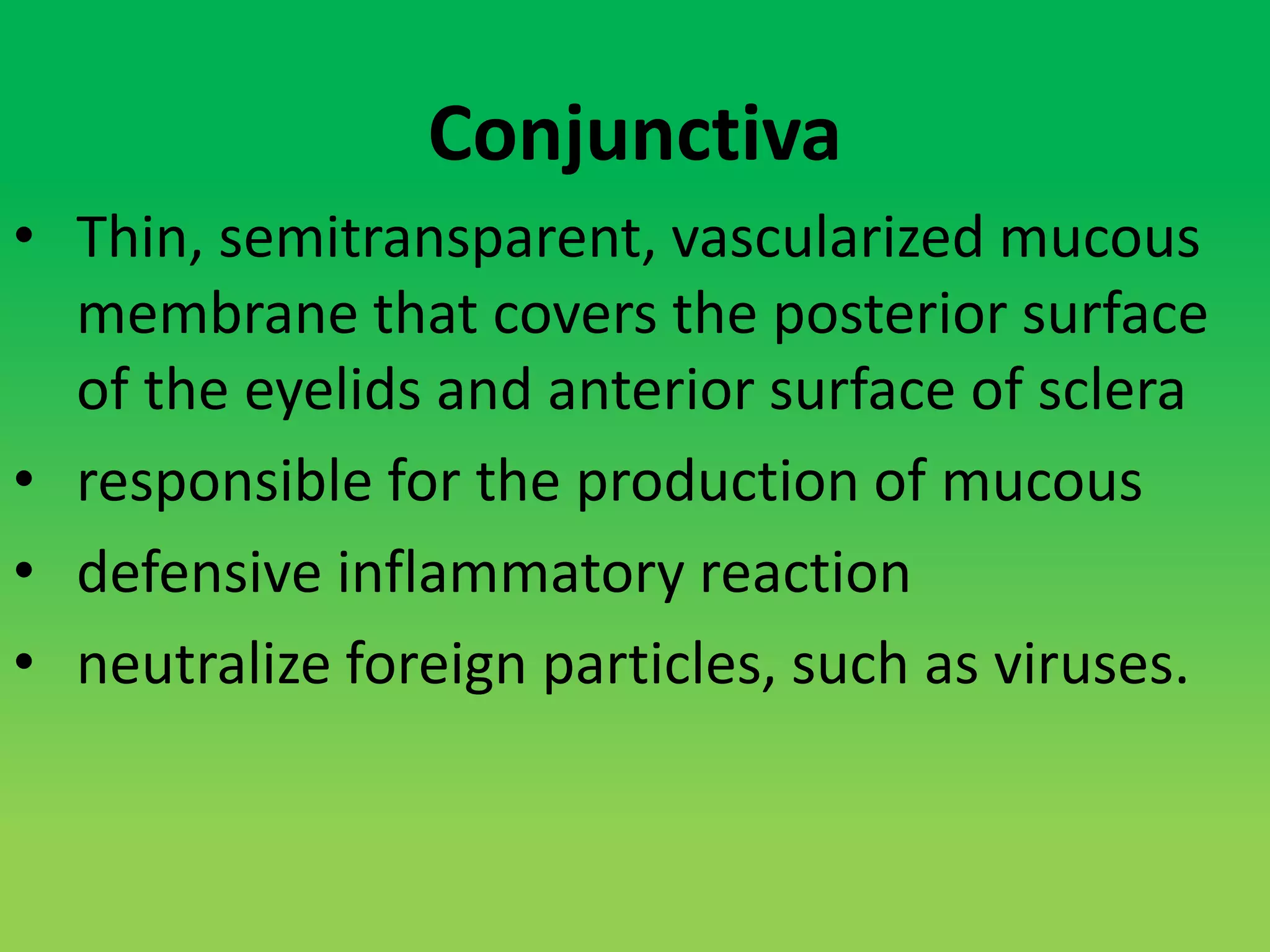 Conjunctiva tear film | PPT