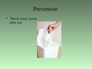 Conjunctivitis | PPS