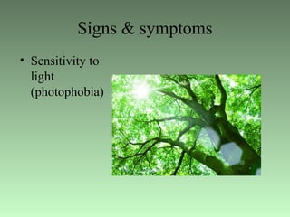 Conjunctivitis | PPS