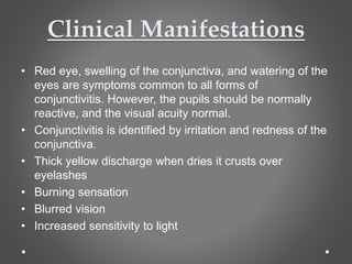Conjunctivitis for Nurses- Easy Explanation | PDF
