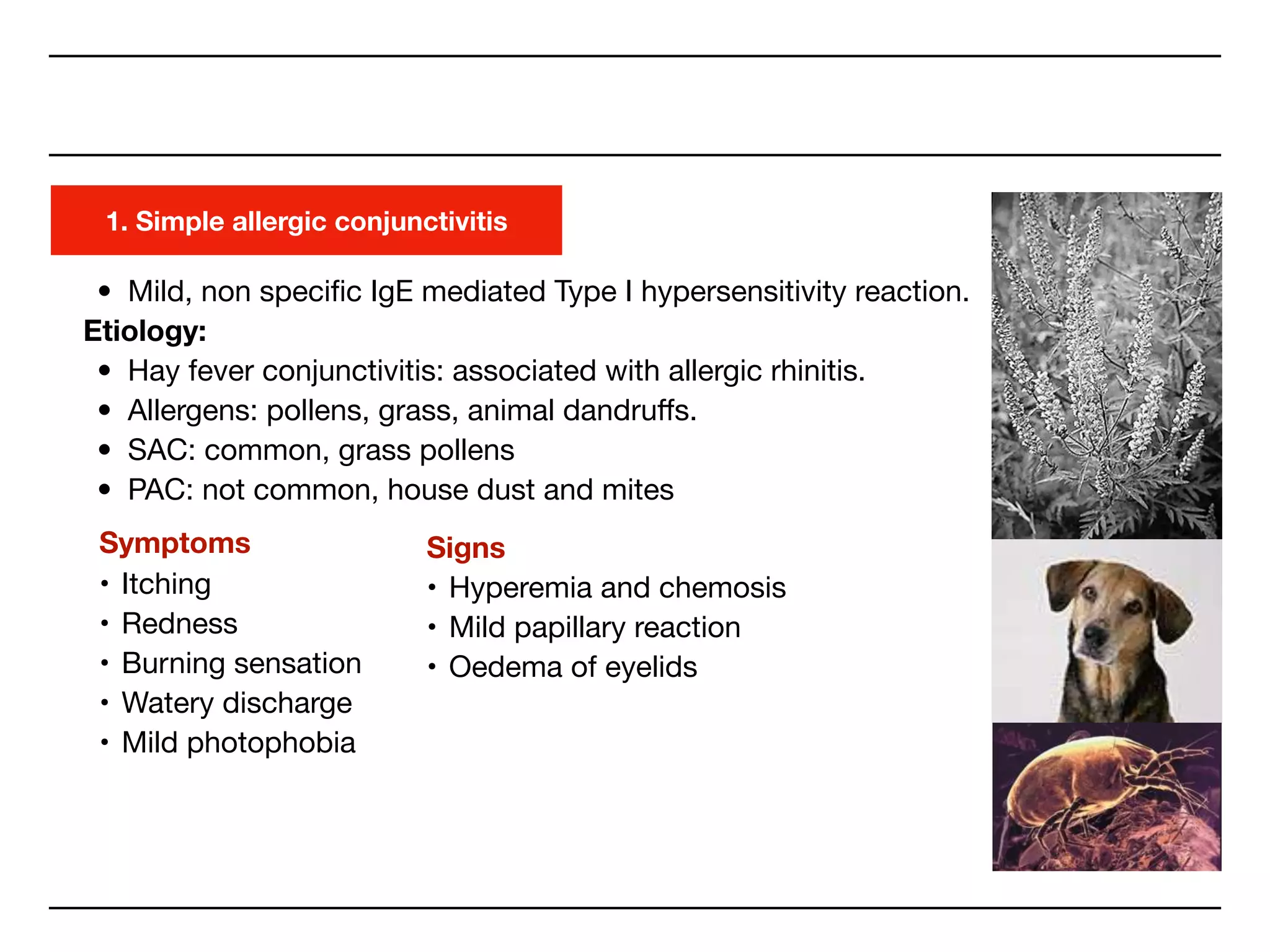 Conjunctivitis | PDF