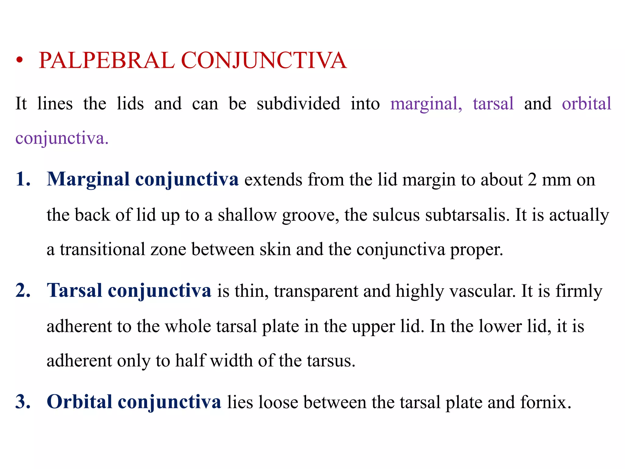 Conjunctivitis | PPTX