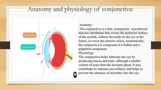 conjunctivitis.pptx | Eye and Vision Conditions | Diseases and Conditions
