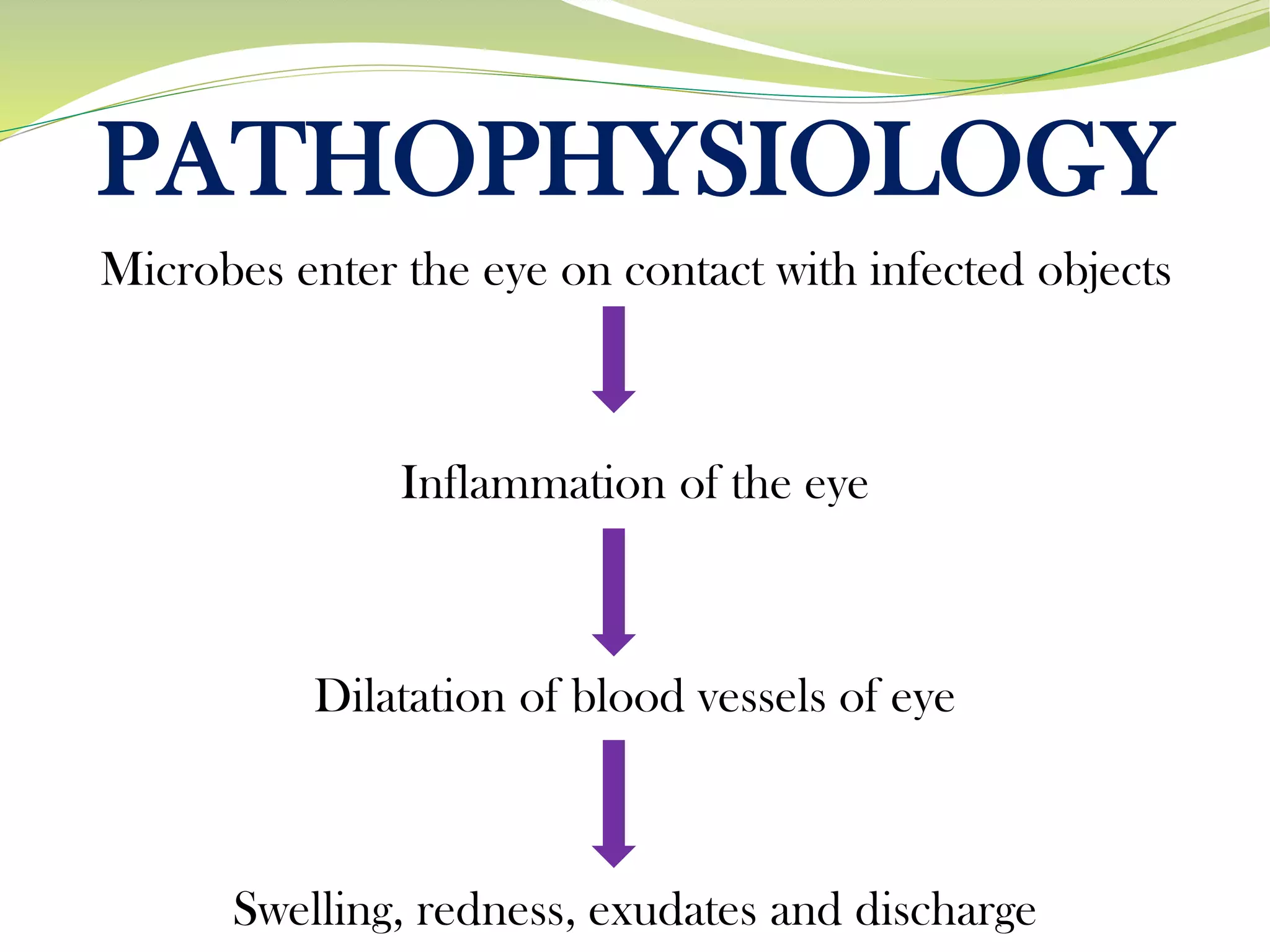 Conjunctivitis | PDF