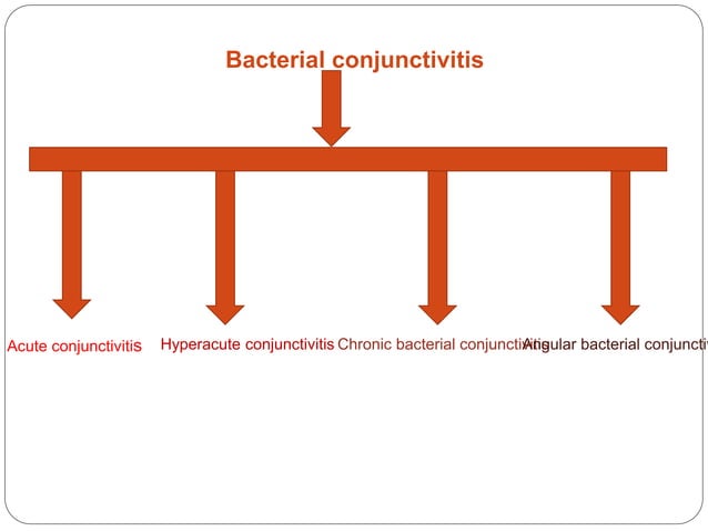 Conjunctivitis | PPTX | Eye and Vision Conditions | Diseases and Conditions