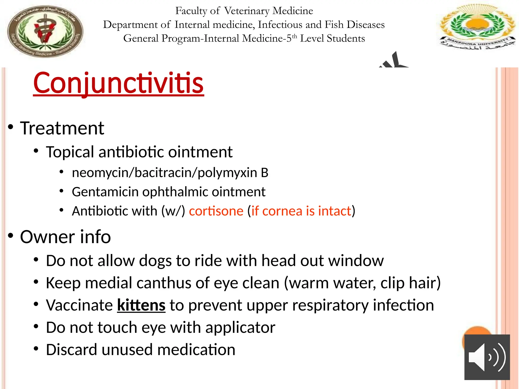 Conjunctivitis (inflammation in conjunctive) in animals.pptx