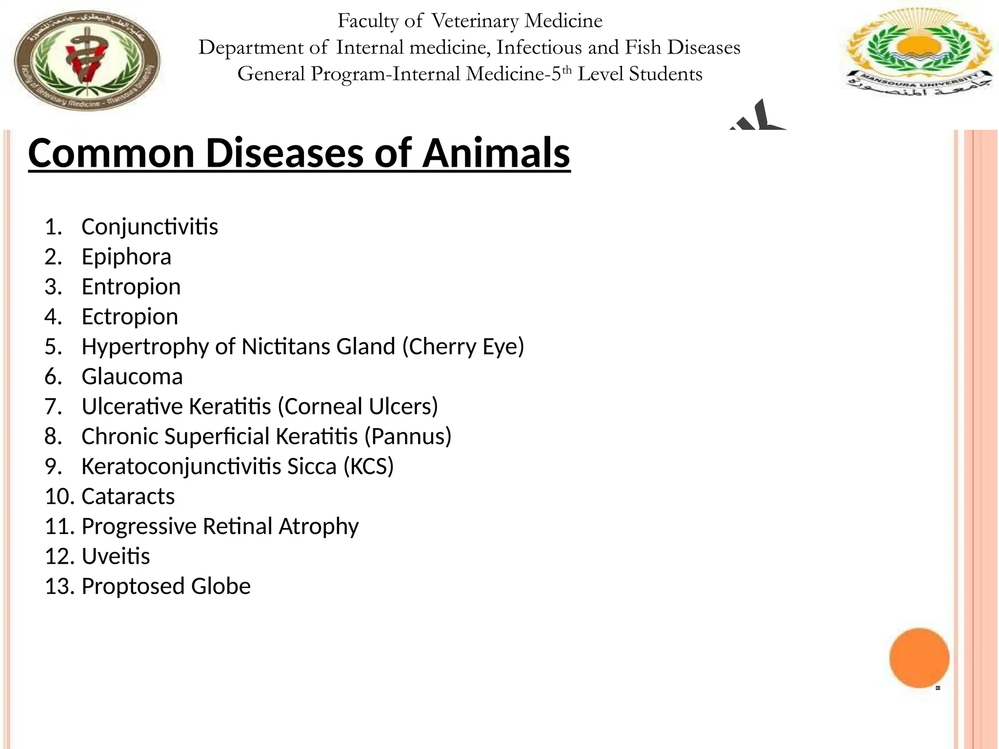 Conjunctivitis (inflammation in conjunctive) in animals.pptx