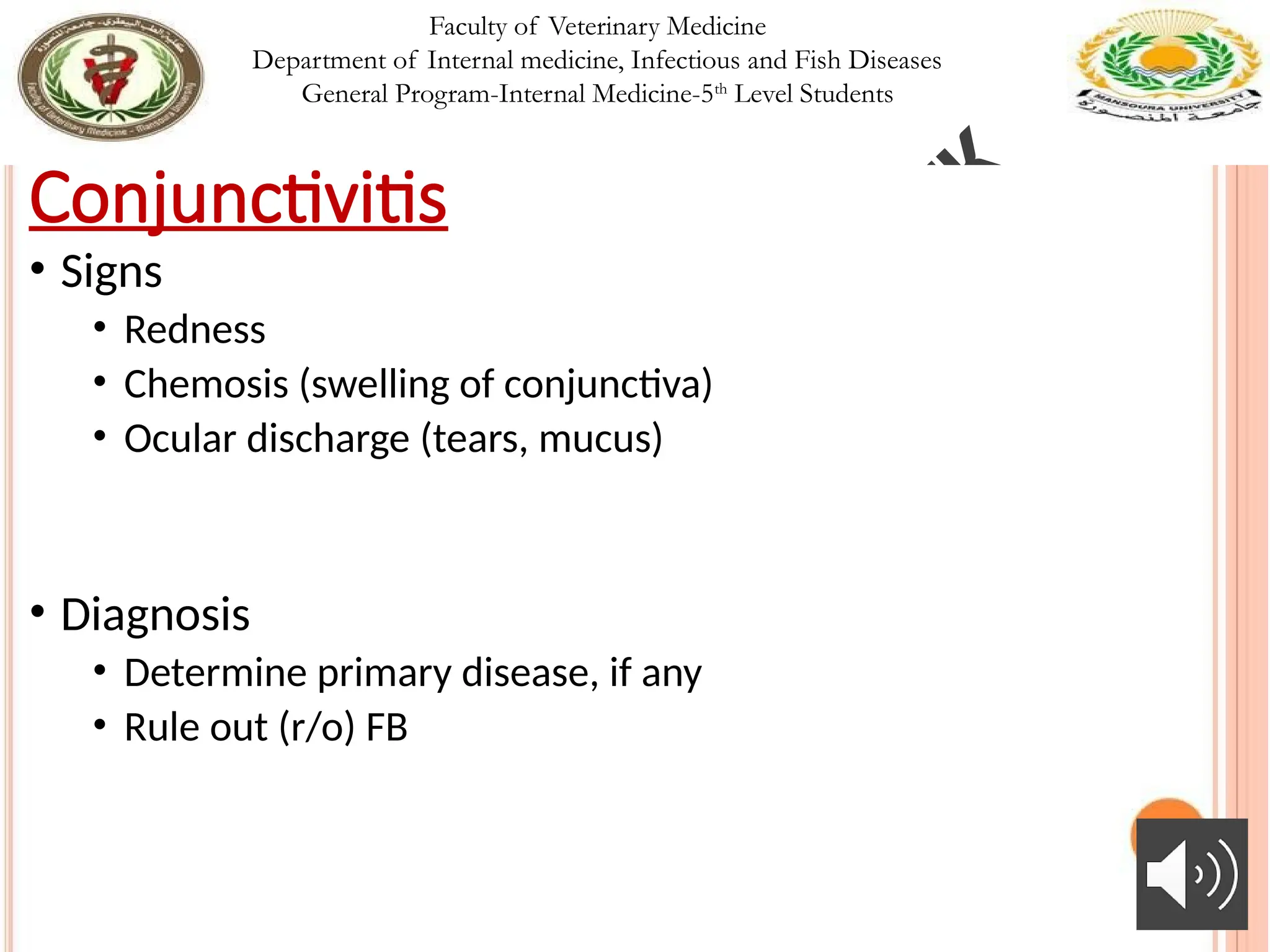 Conjunctivitis (inflammation in conjunctive) in animals.pptx