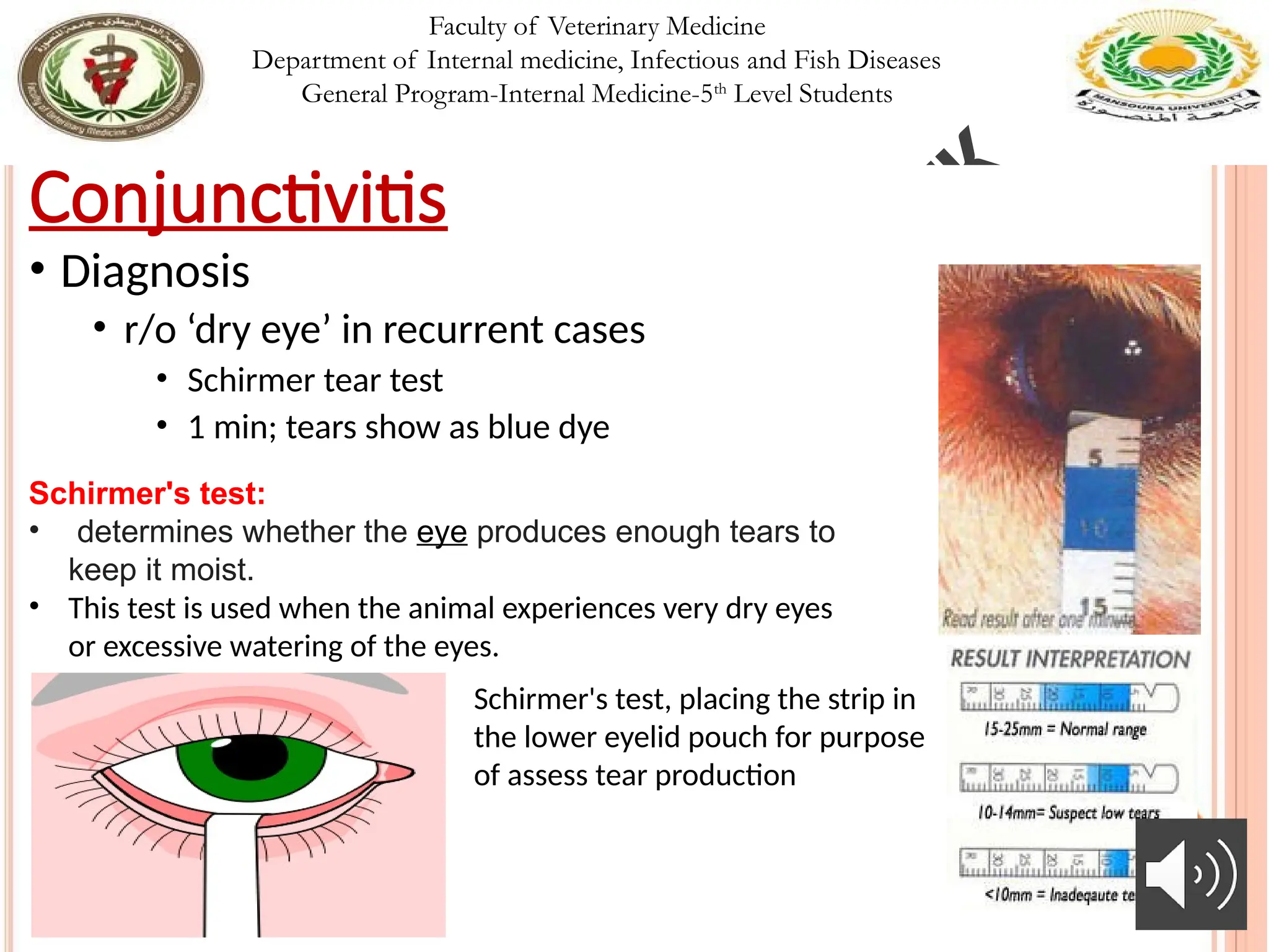 Conjunctivitis (inflammation in conjunctive) in animals.pptx