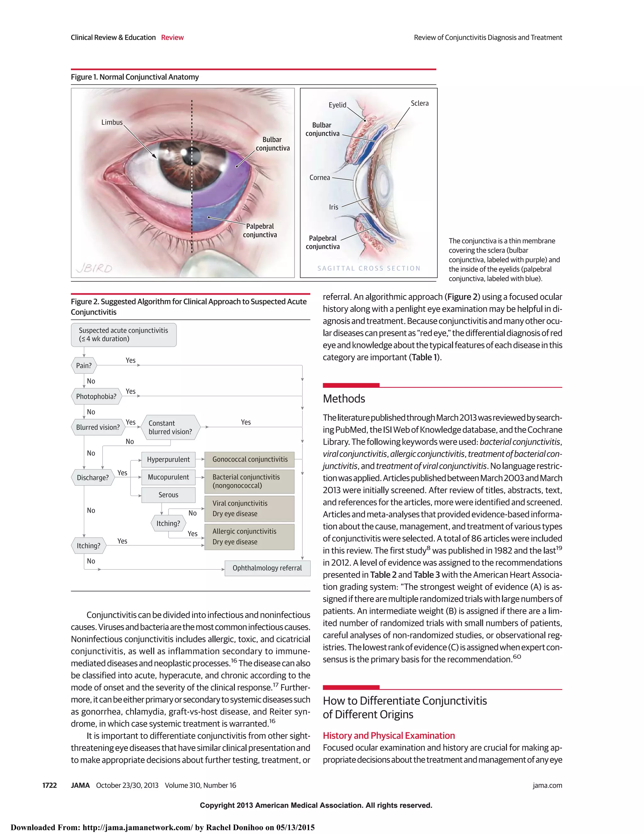 Conjuntivitis.pdf