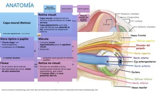 Conjuntivitis I QUE ES FISIOPATOLOGIA TIPOS | PPTX